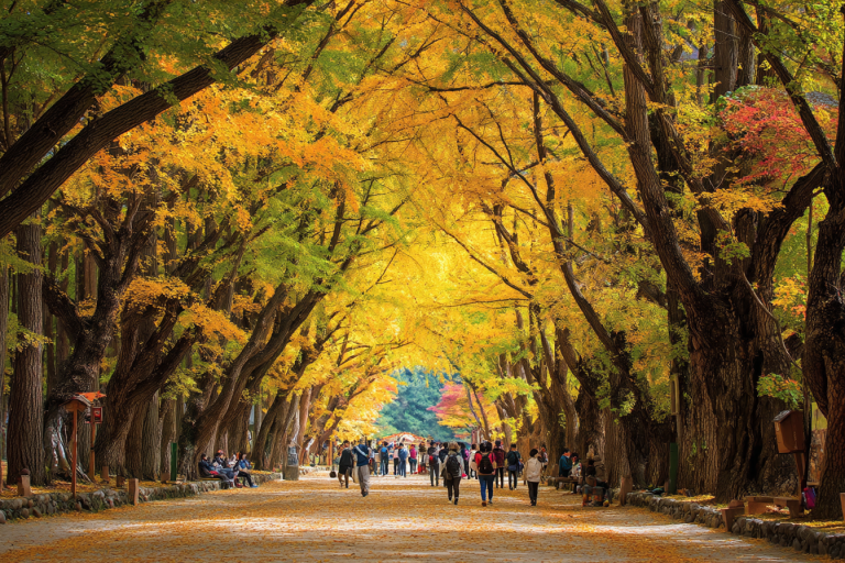 Navigating Taiwan: A Complete Transportation Guide for Travelers