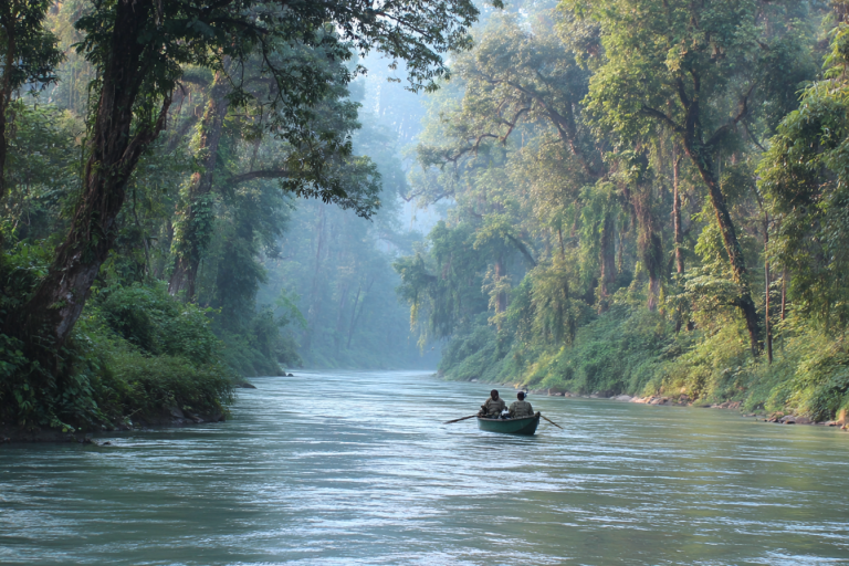 Perfect 3-Day Chitwan Travel Itinerary for Nature and Culture Lovers