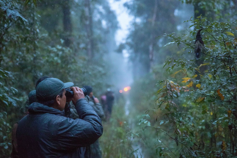 Chitwan Bird Watching Tours: Discover Nepal’s Avian Wonders