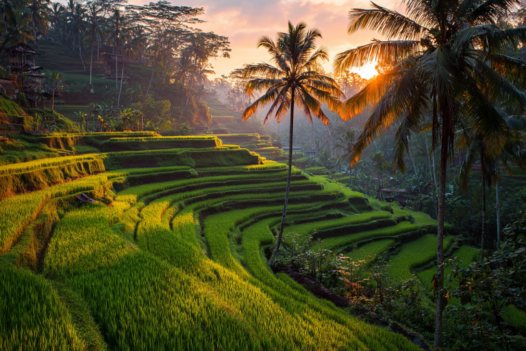 The Ultimate Ubud Travel Guide for First-Time Visitors